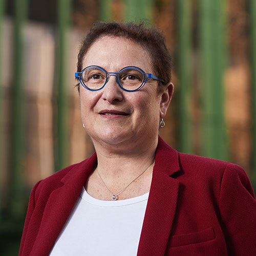 Maria Kavallaris nominated for prestigious science award | Children's ...