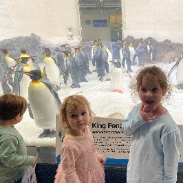 CCI - Flowers For Effie