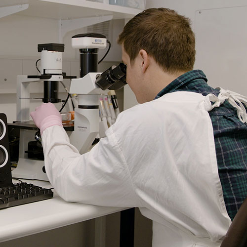 Zero Childhood Cancer precision medicine program expands to include all ...