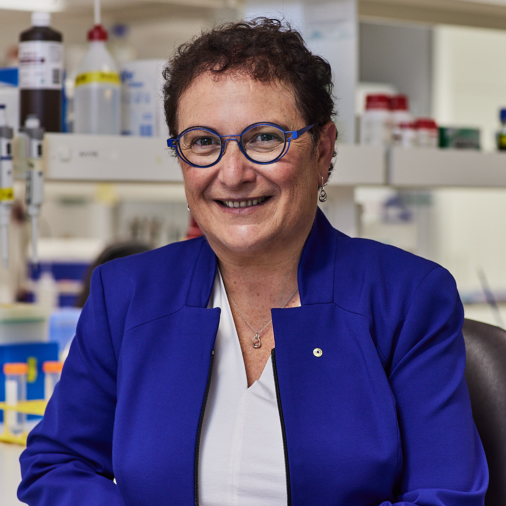 Professor Maria Kavallaris awarded the Walter Burfitt Prize | Children ...